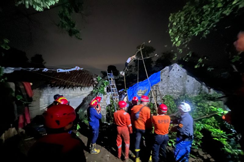 19 Bencana dari Pohon Tumbang, Tanah Longsor, hingga Banjir Melanda ... 19 Bencana dari Pohon Tumbang, Tanah Longsor, hingga Banjir Melanda ...