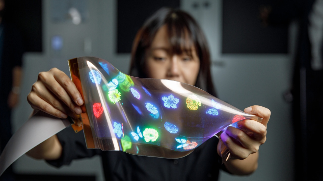 LG Display Sukses Kembangkan Layar Stretchable Pertama di Dunia ... LG Display Sukses Kembangkan Layar Stretchable Pertama di Dunia ...