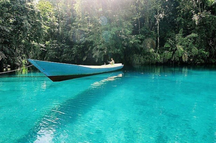 Labuan Cermin, Keindahan Danau Dua Rasa di Kalimantan Timur ...