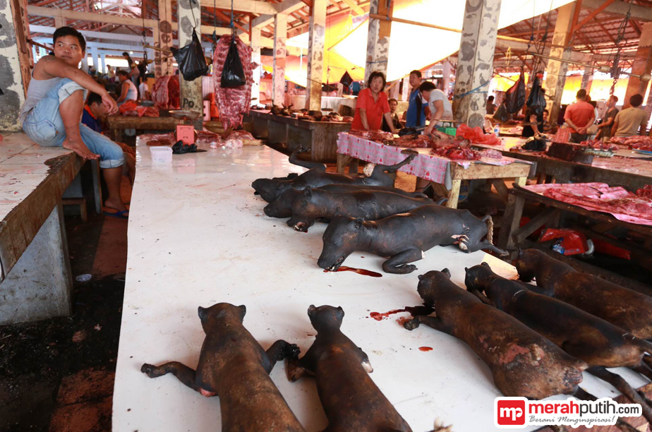 Peserta JSI Community Kunjungi Pasar Beriman Tomohon (Extreme Market ...