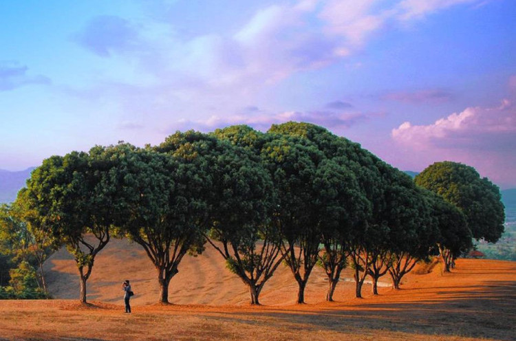 Ngamplang, Swiss Van Java dari Garut - MerahPutih