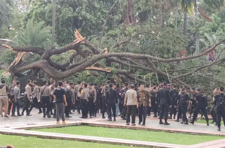 5 Polisi jadi Korban Pohon Tumbang di Balai Kota DKI - MerahPutih 5 Polisi jadi Korban Pohon Tumbang di Balai Kota DKI - MerahPutih