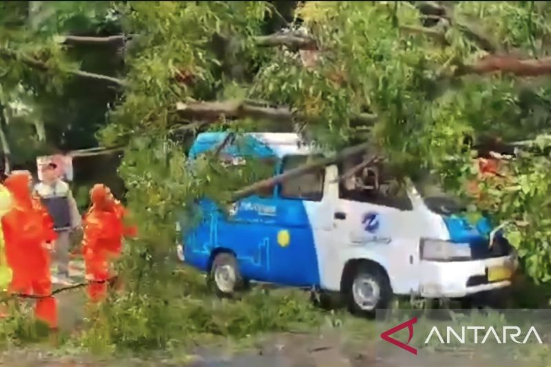 Legislator Kebon Sirih Minta Warga Jakarta Waspada Pohon Tumbang dan ... Legislator Kebon Sirih Minta Warga Jakarta Waspada Pohon Tumbang dan ...
