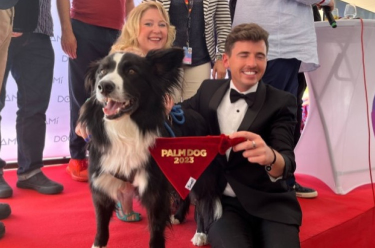 Anjing Collie dalam film 'Anatomy of a Fall' Gondol Cannes Palm Dog ...