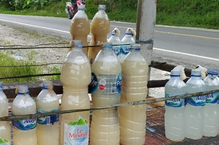 Mengenal Tuak, Jamuan Penghangat Khas Suku Batak - MerahPutih