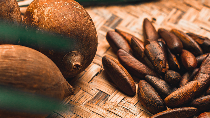 Ini nih, Manfaat Kacang Pinus dalam Mengelola Berat Badan dan ...