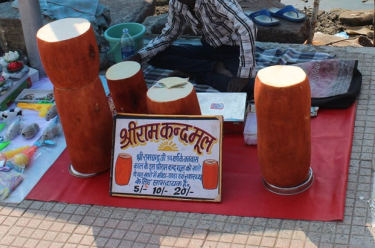 Ram Kand Mool, Camilan Misterius dari India - MerahPutih