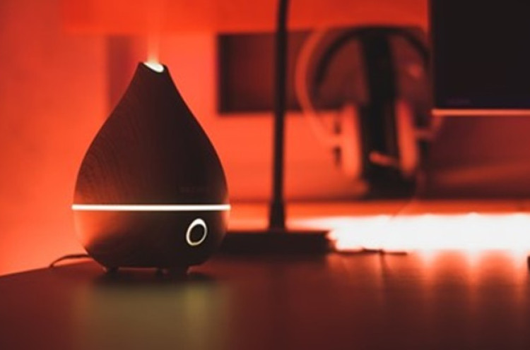 Jenis-Jenis dan Kegunaan Diffuser, Kamu Punya yang Mana? - MerahPutih