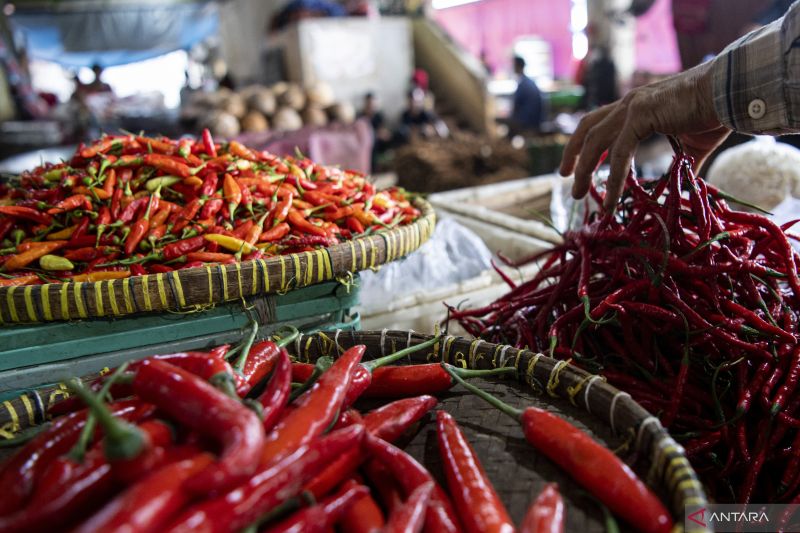 Sejumlah Harga Komoditas Bahan Pangan Naik pada 10 Januari 2023 ... Sejumlah Harga Komoditas Bahan Pangan Naik pada 10 Januari 2023 ...