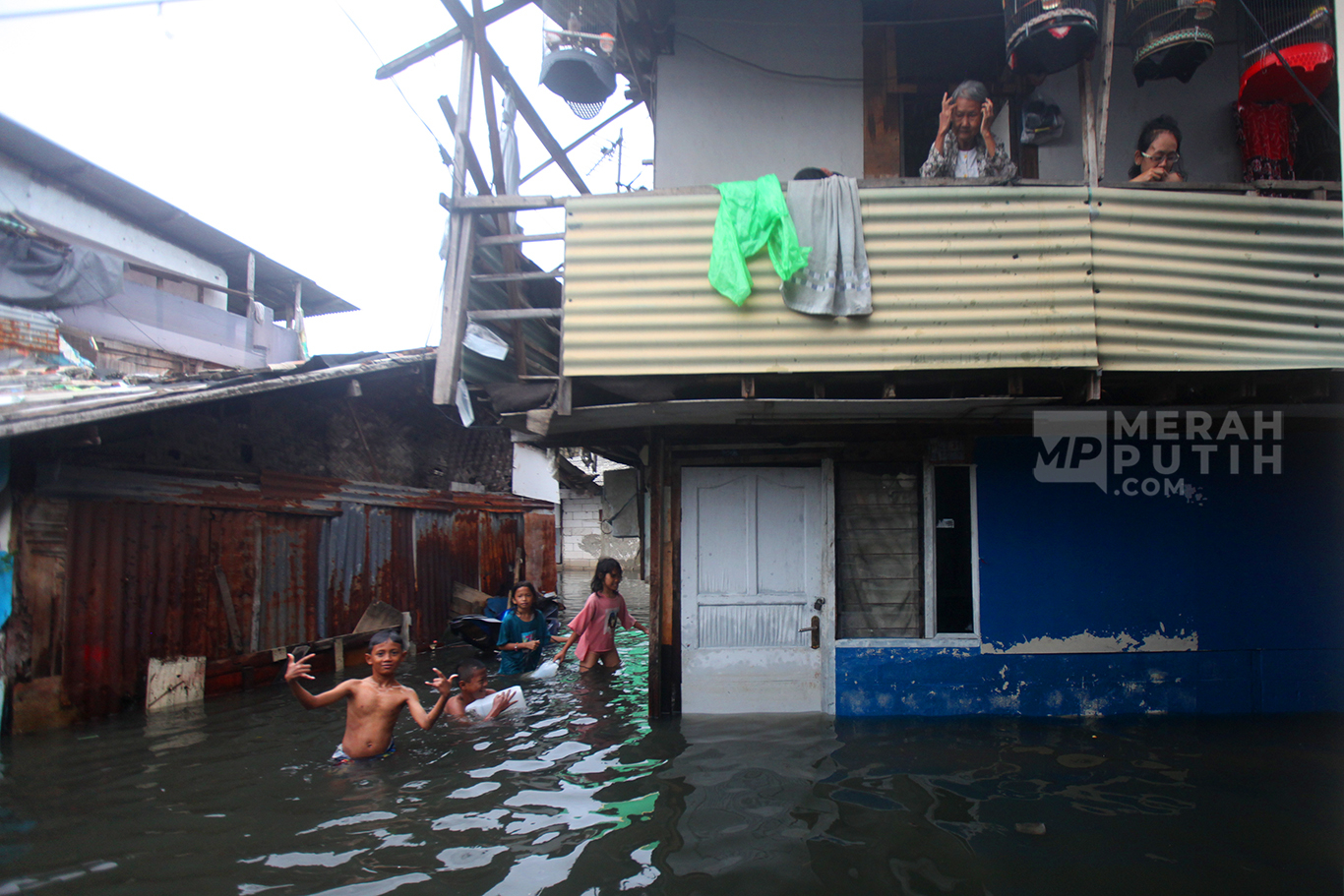 Banjir Setinggi 80 Cm Genangi Pemukiman Padat Penduduk Kapuk Jakarta ... Banjir Setinggi 80 Cm Genangi Pemukiman Padat Penduduk Kapuk Jakarta ...